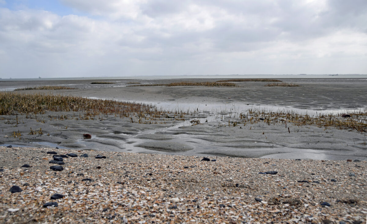 Gezamenlijk plan voor het Waddengebied – CIVIELE TECHNIEK