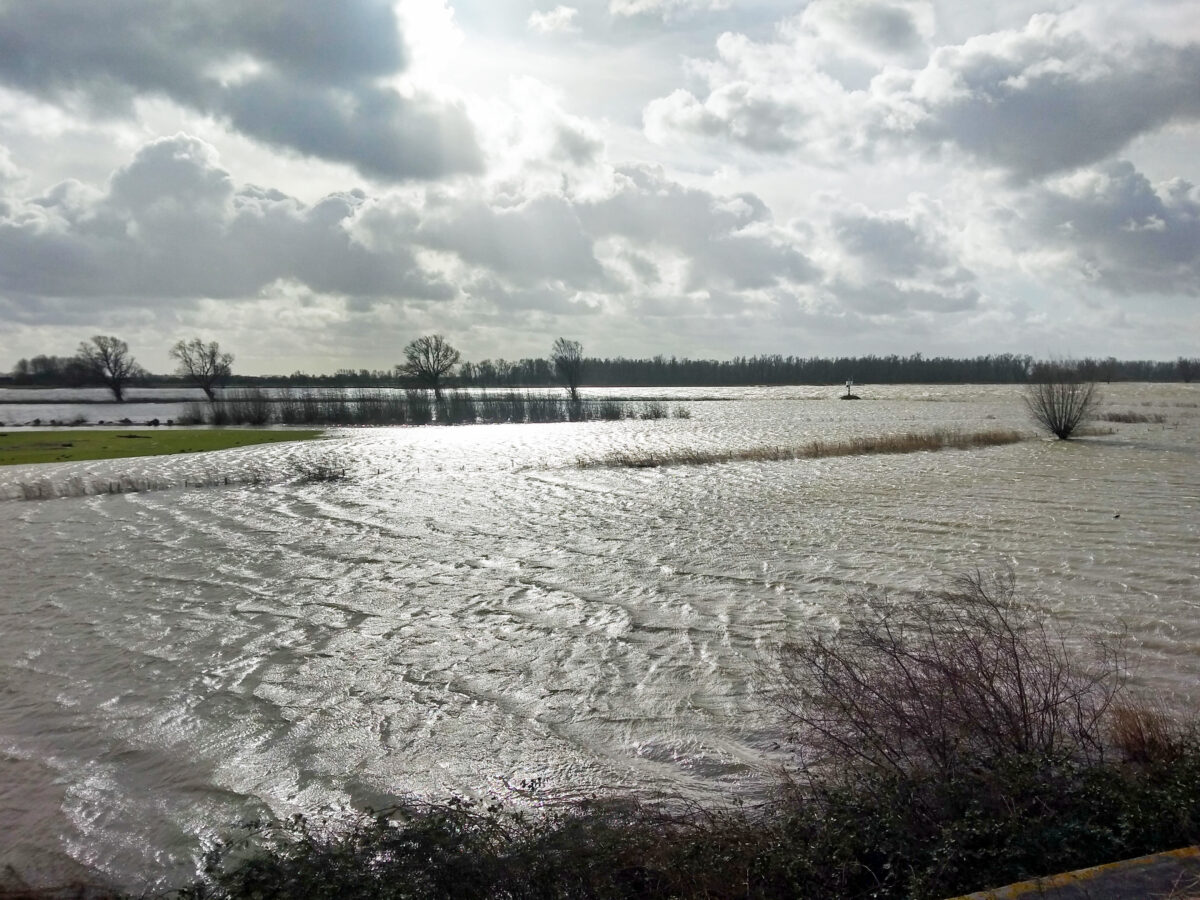 Toekomstige rivierafvoeren Rijn en Maas: lager in de zomer en hoger in ...